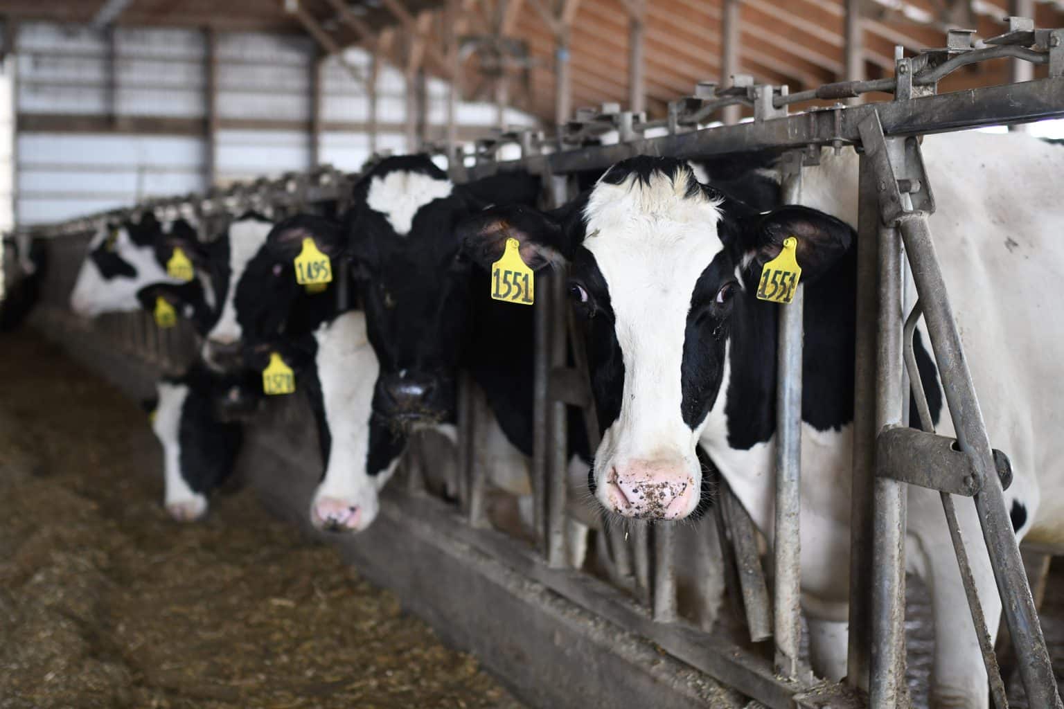 Michigan Milk Producers Association (MMPA)