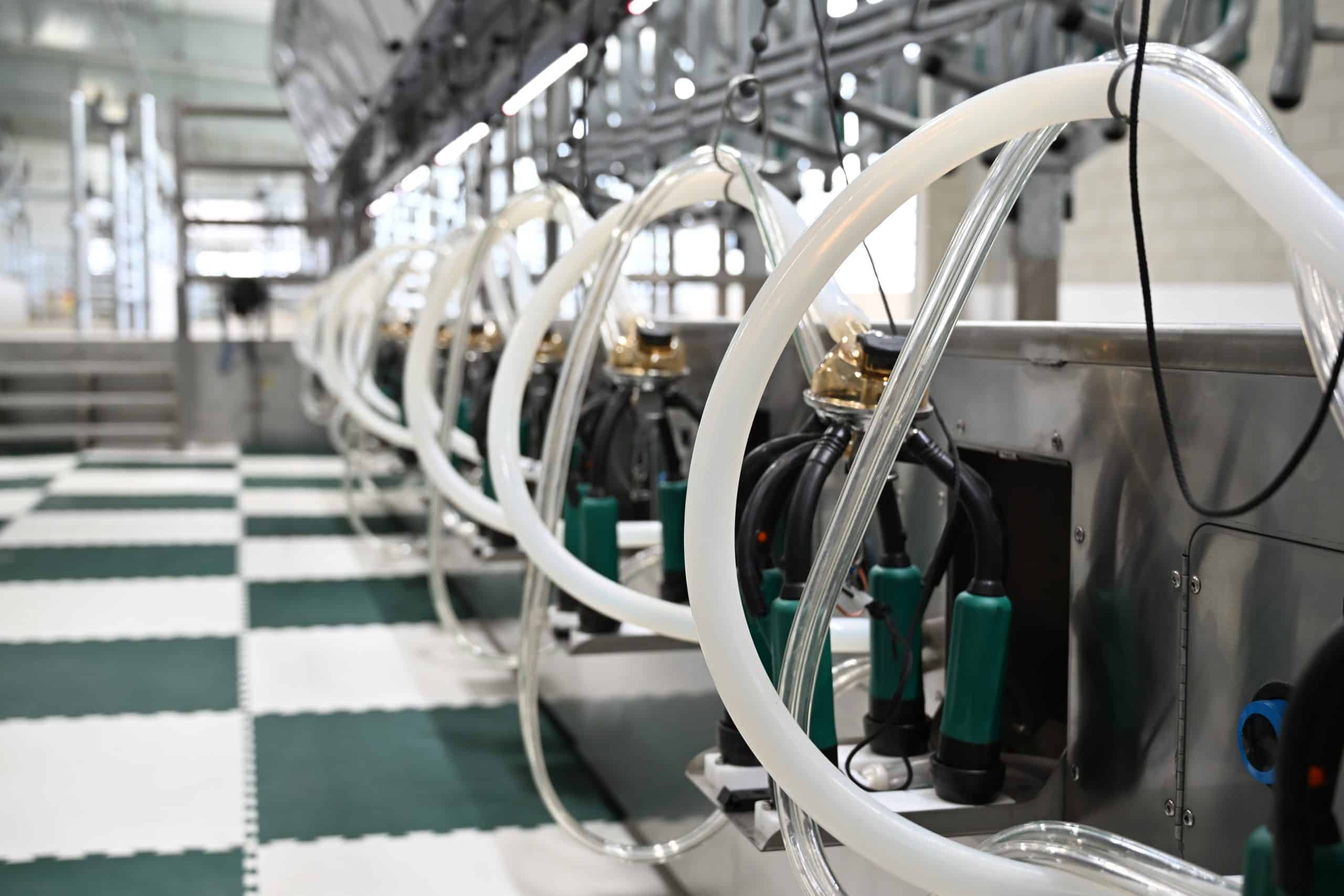 A New Era for Dairy at MSU